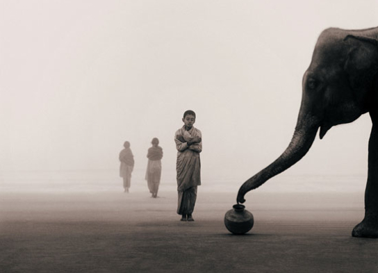 Gregory Colbert – Photographe et vidéaste – PHOTOPATHE